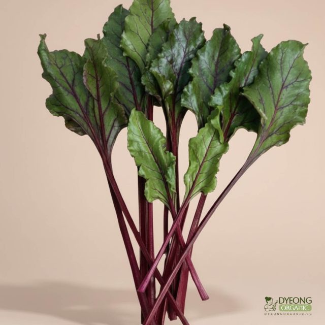 Organic Beetroot - Leaves (100g) Australia - SG Organic